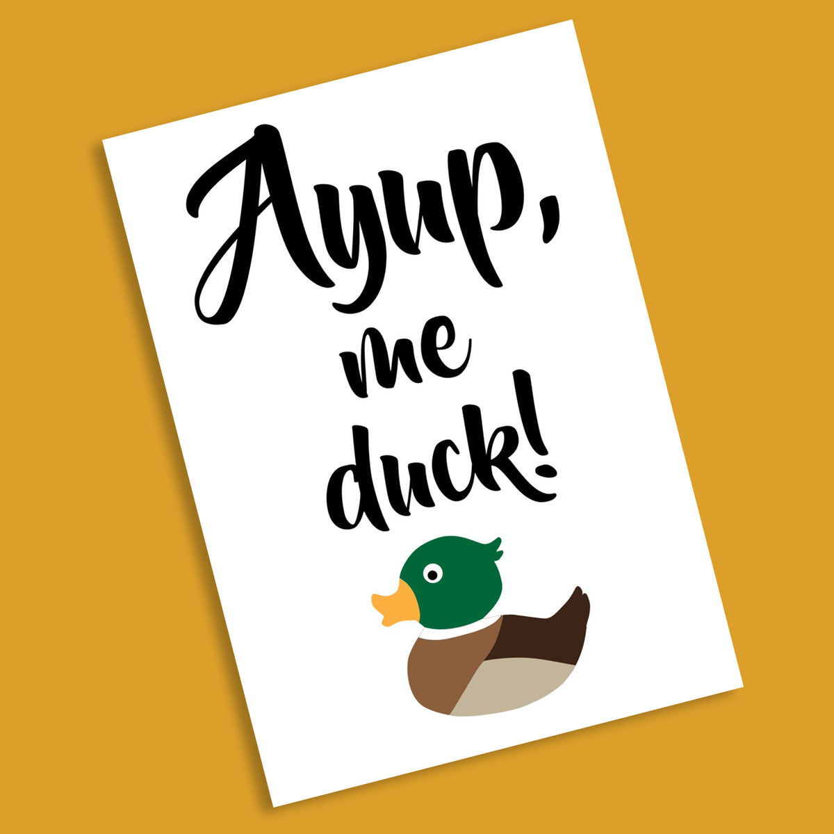 Ay up, me duck! Sir Francis Drake Print — DUKKI Ltd